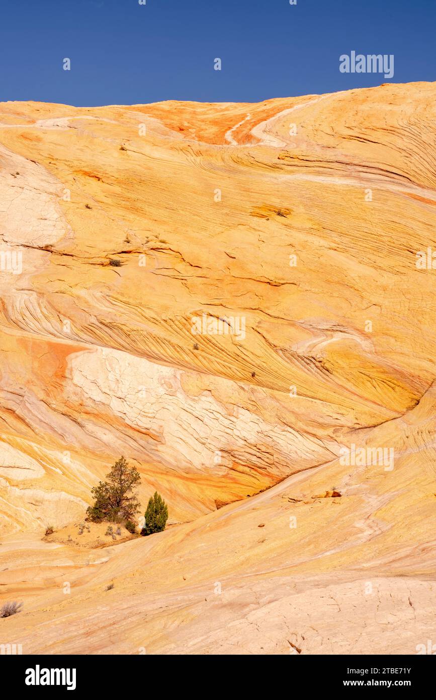 Photograph of the Yellow Rock area, a sandstone hill that's mostly ...