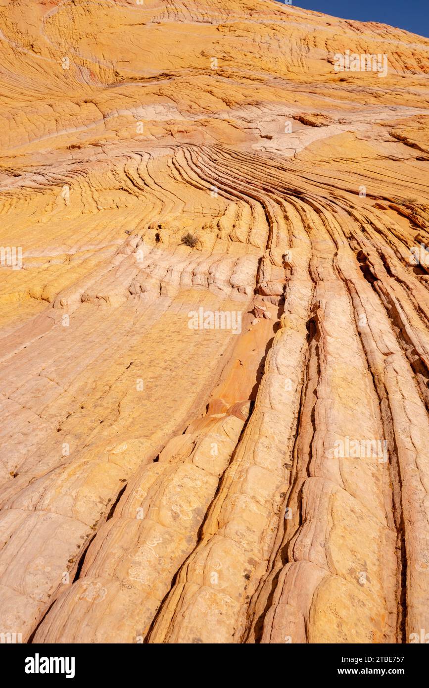 Photograph of the Yellow Rock area, a sandstone hill that's mostly ...