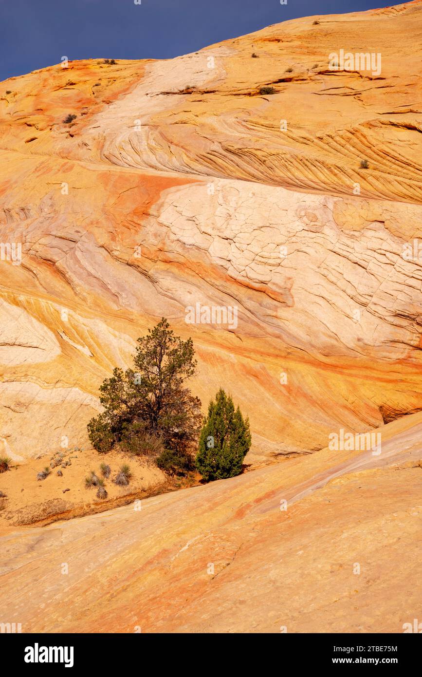 Photograph of the Yellow Rock area, a sandstone hill that's mostly ...
