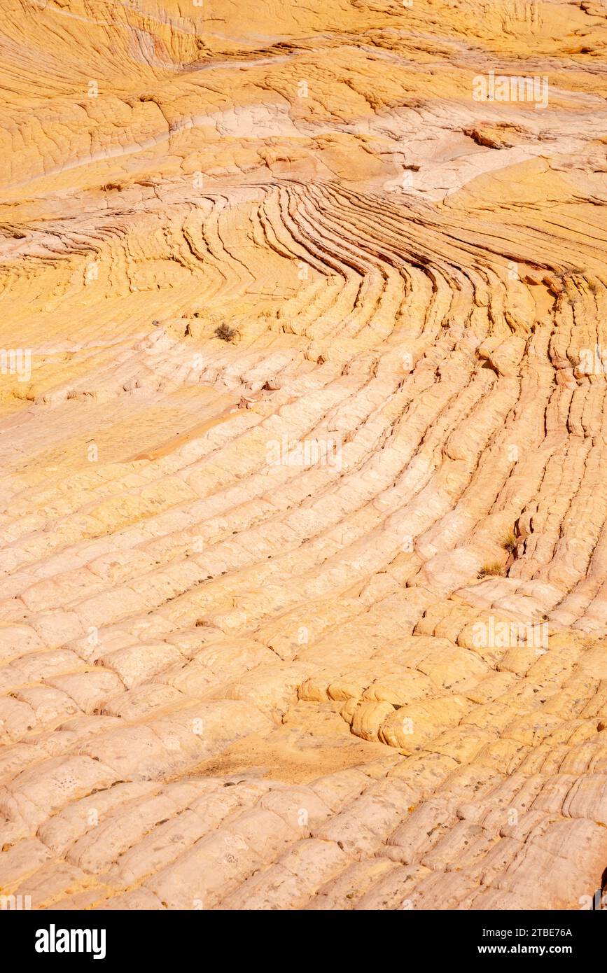 Photograph of the Yellow Rock area, a sandstone hill that's mostly ...