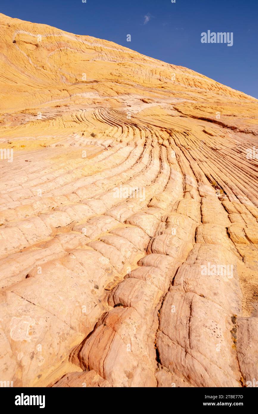 Photograph of the Yellow Rock area, a sandstone hill that's mostly ...