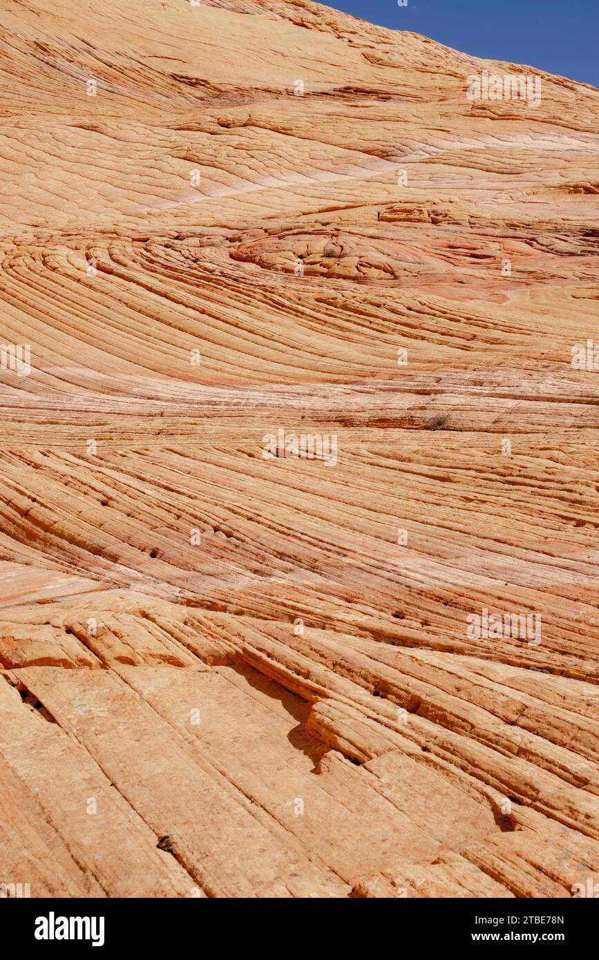 Photograph of the Yellow Rock area, a sandstone hill that's mostly ...