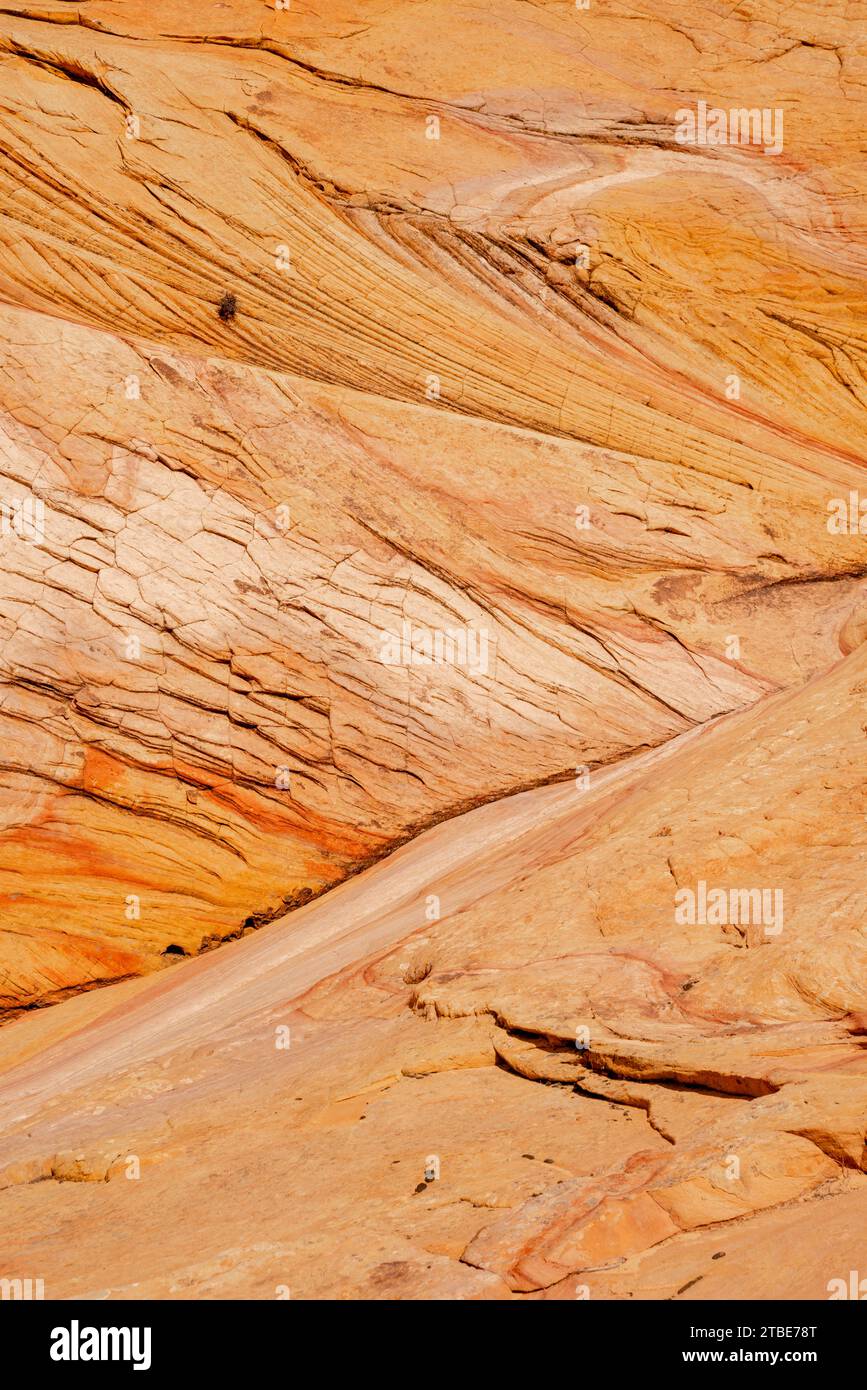 Photograph of the Yellow Rock area, a sandstone hill that's mostly ...