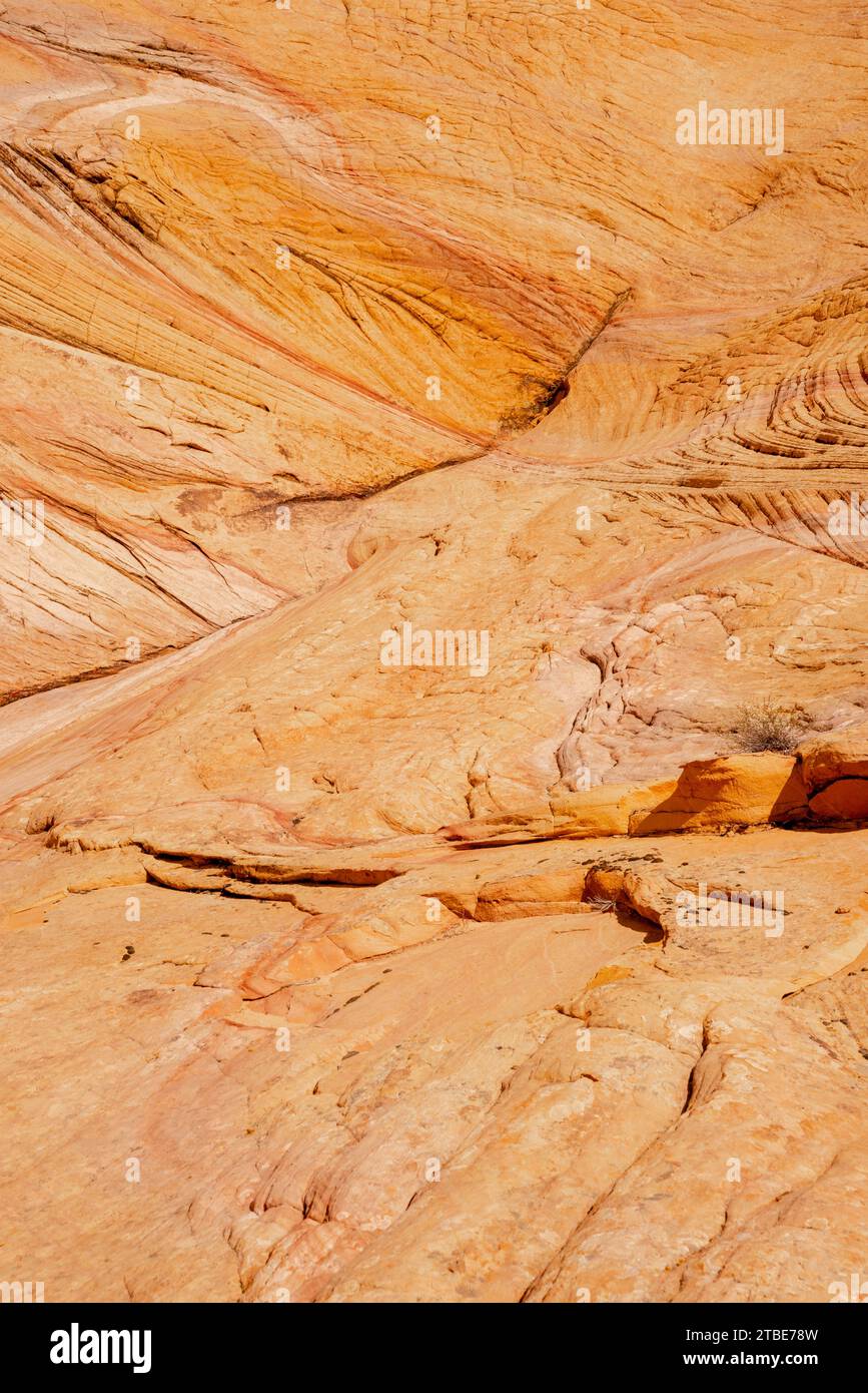 Photograph of the Yellow Rock area, a sandstone hill that's mostly ...