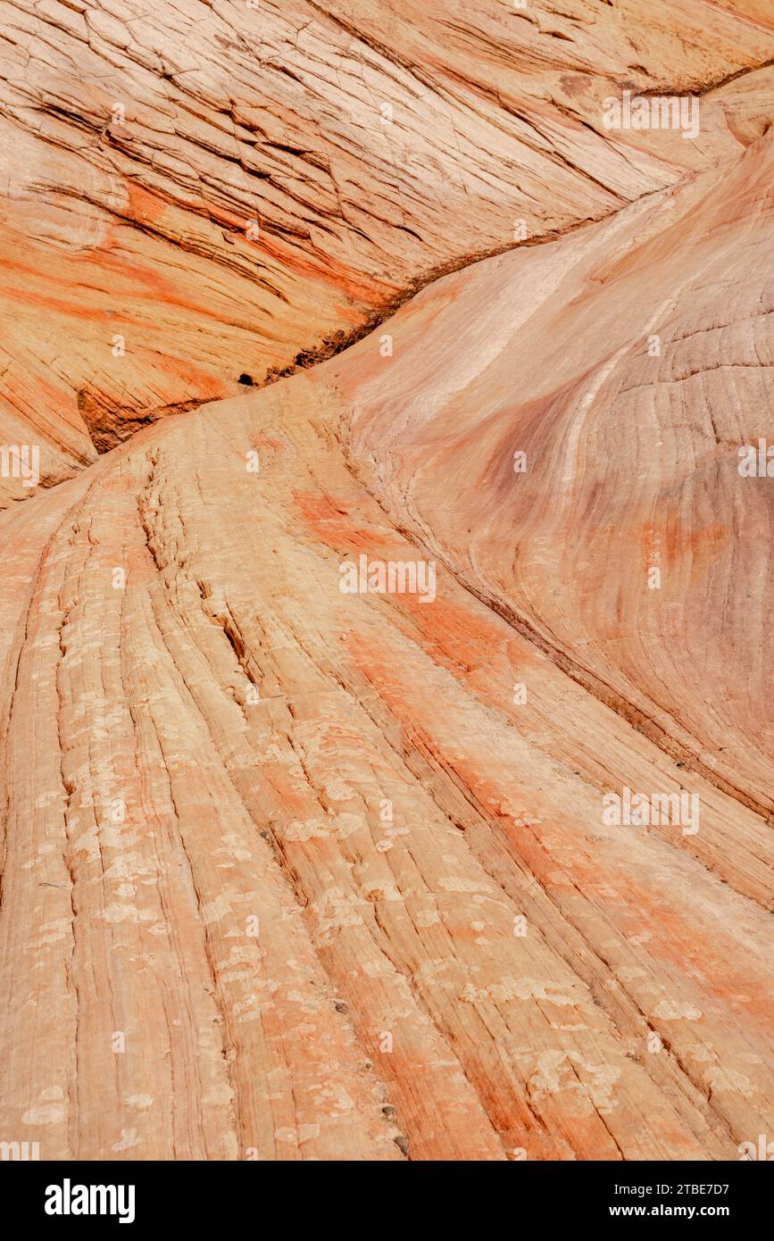 Photograph of the Yellow Rock area, a sandstone hill that's mostly ...