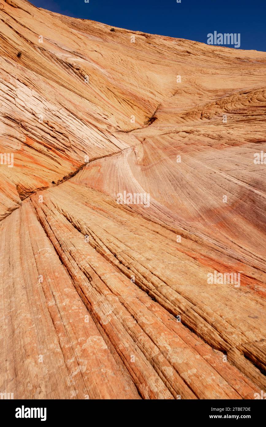 Photograph of the Yellow Rock area, a sandstone hill that's mostly ...
