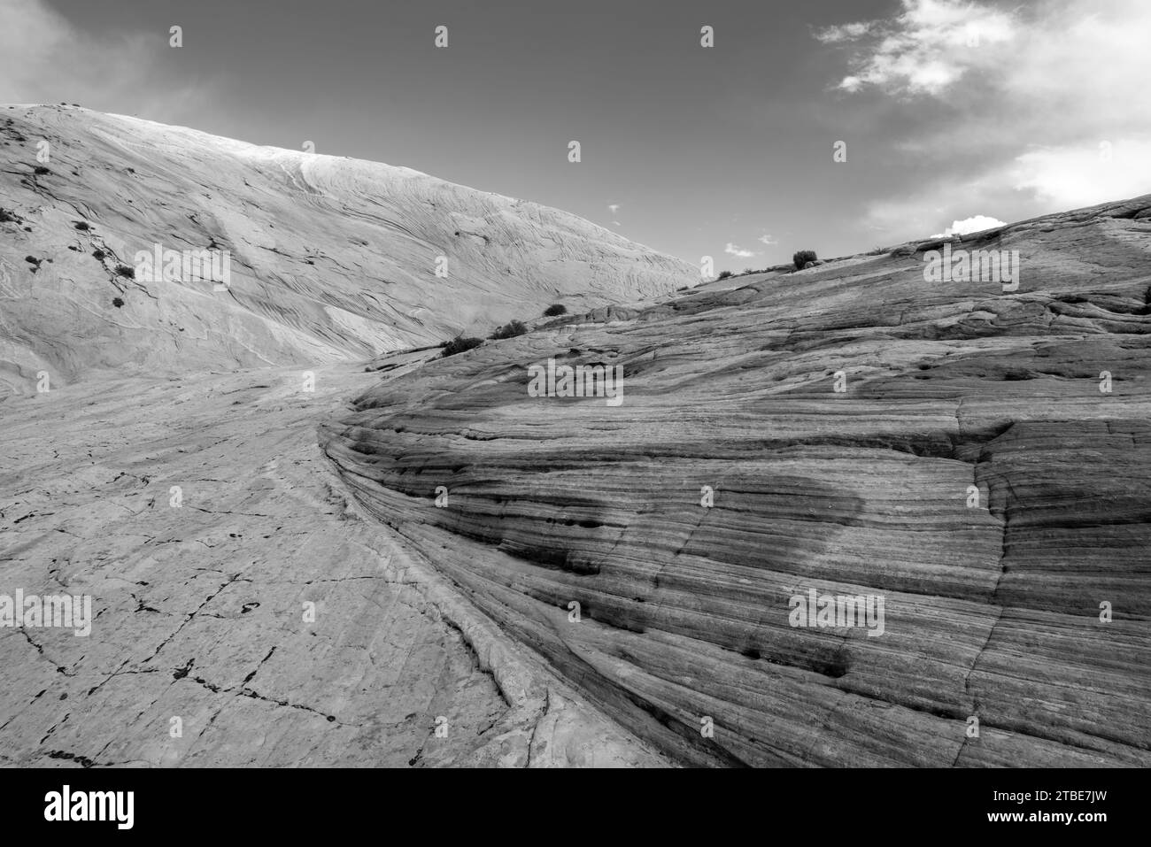 Photograph of the Yellow Rock area, a sandstone hill that's mostly ...
