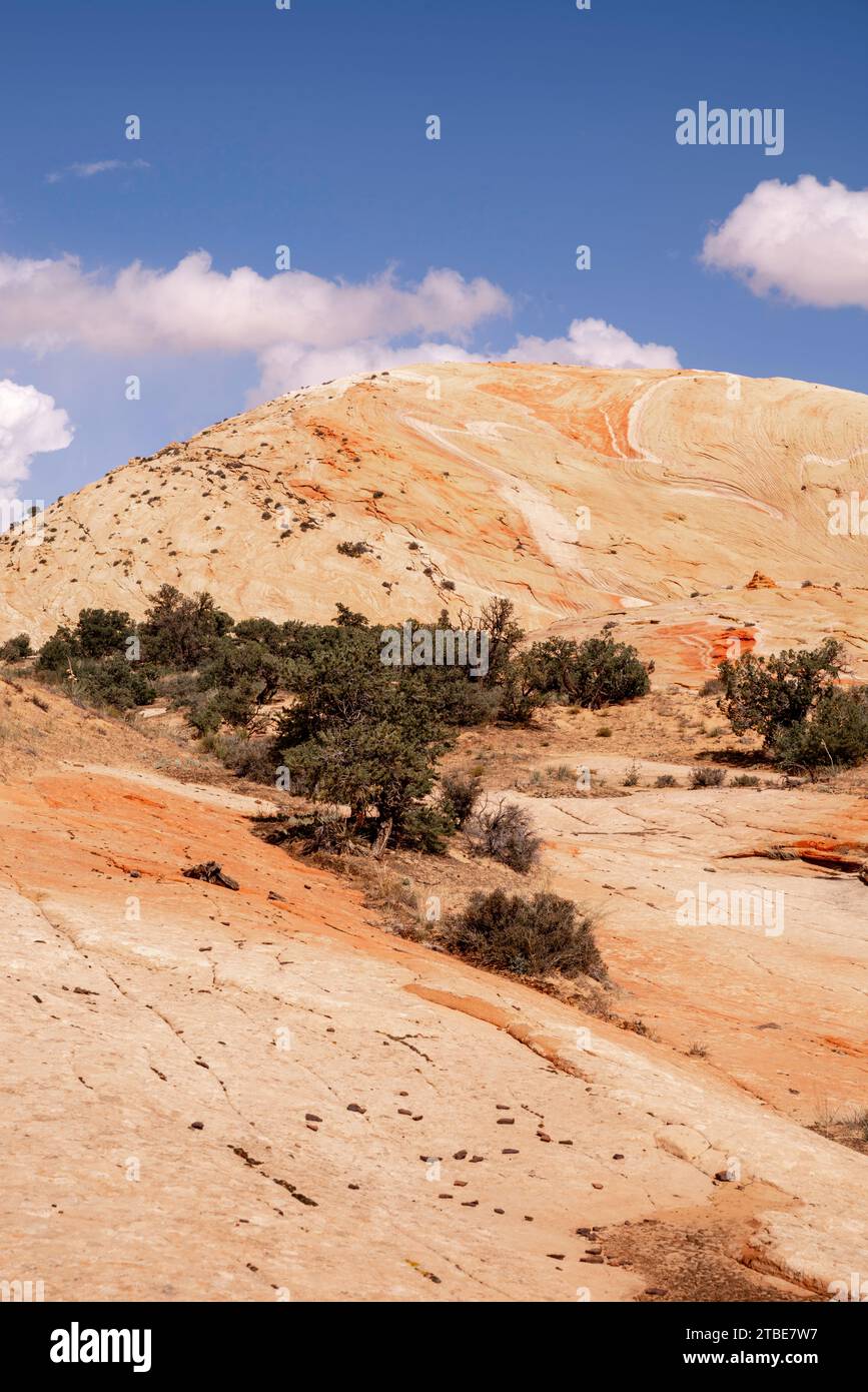 Photograph of the Yellow Rock area, a sandstone hill that's mostly ...