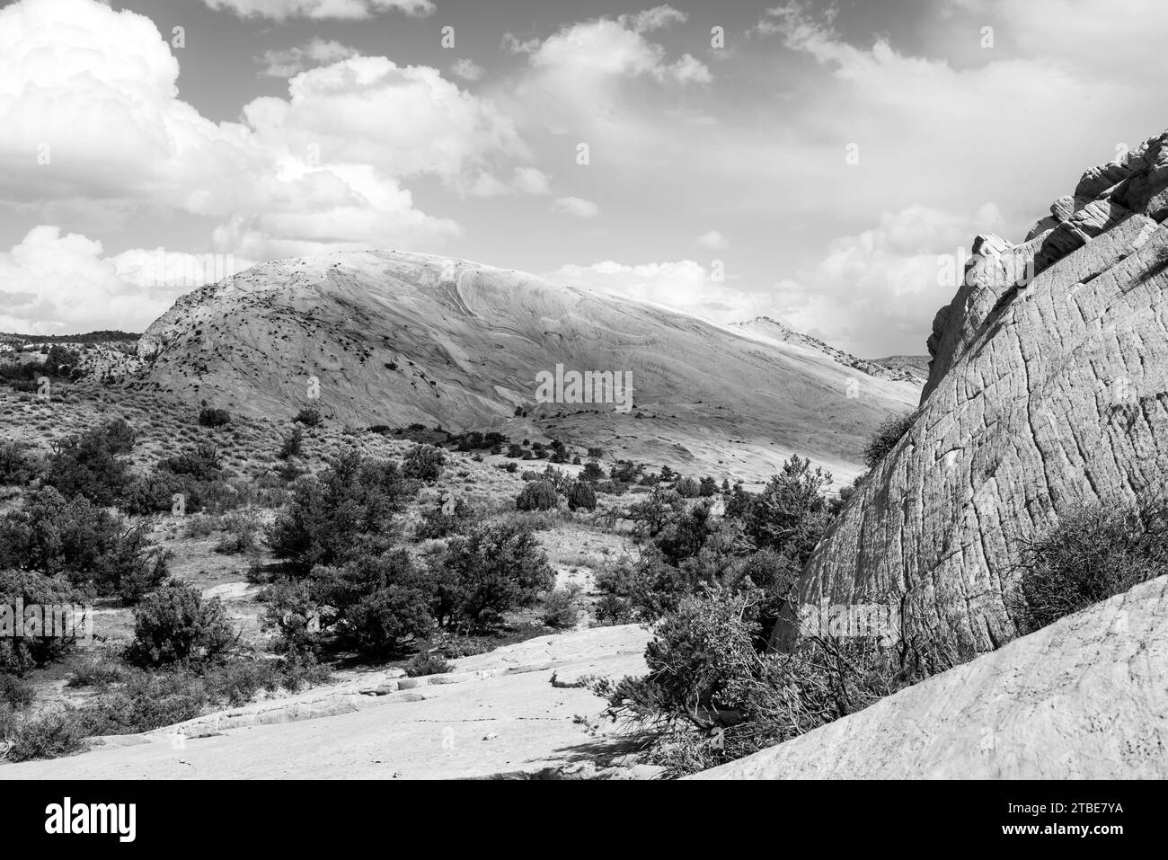Photograph of the Yellow Rock area, a sandstone hill that's mostly ...