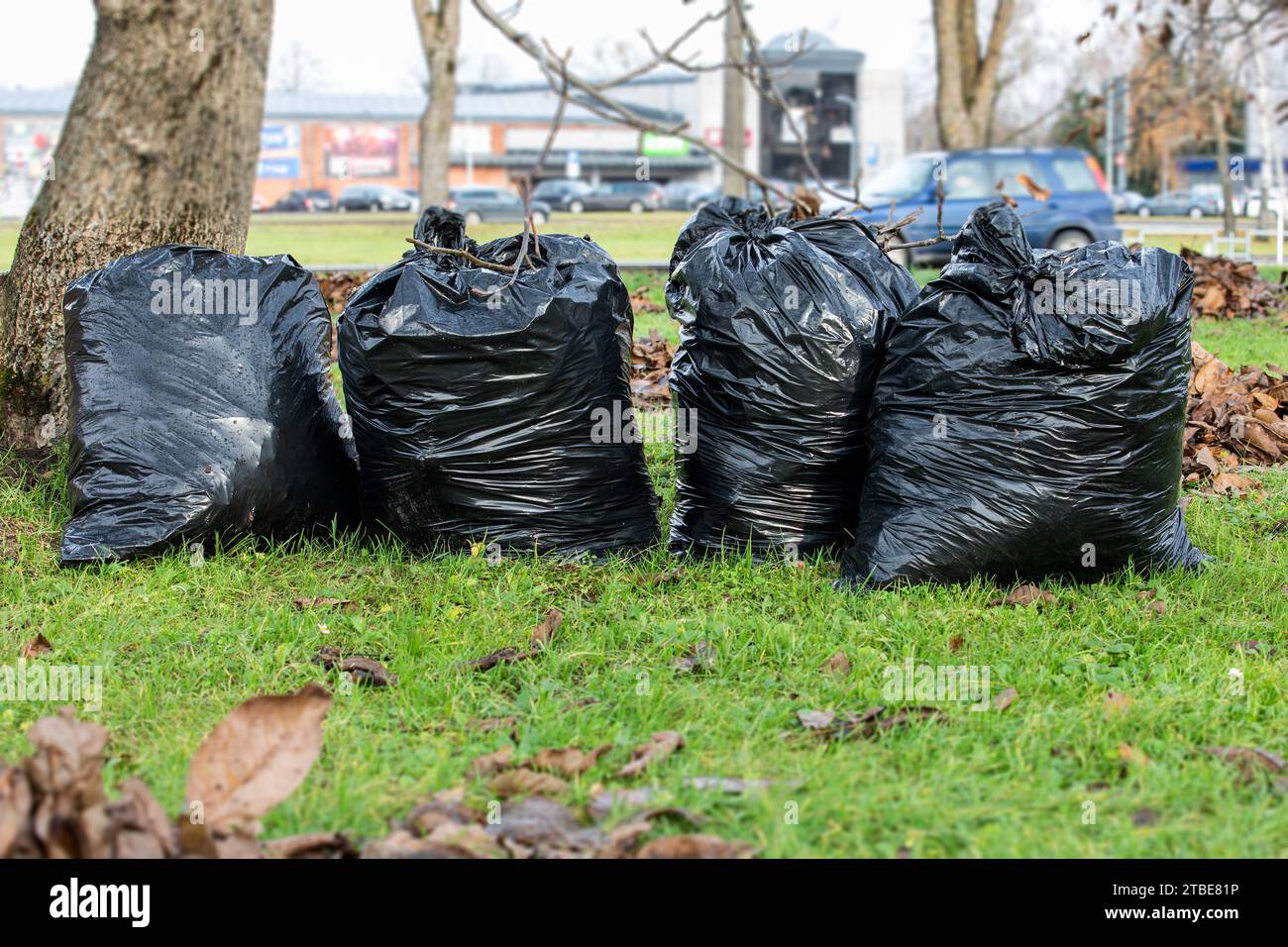 Trash bag ,black plastic garbage bags. Clean up the city park in the ...