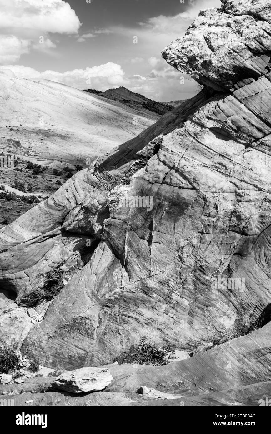Photograph of the Yellow Rock area, a sandstone hill that's mostly ...