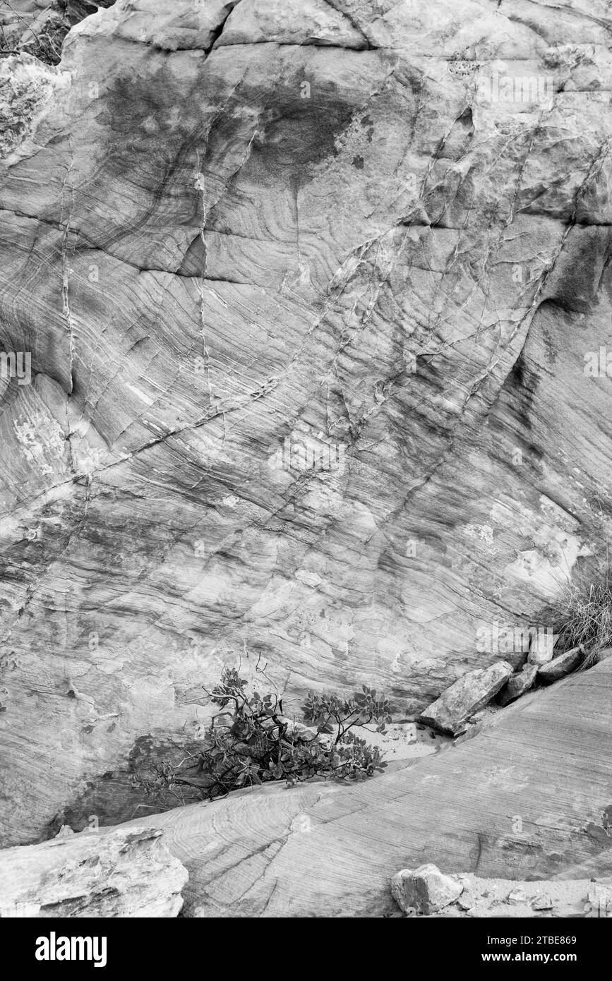 Photograph of the Yellow Rock area, a sandstone hill that's mostly ...