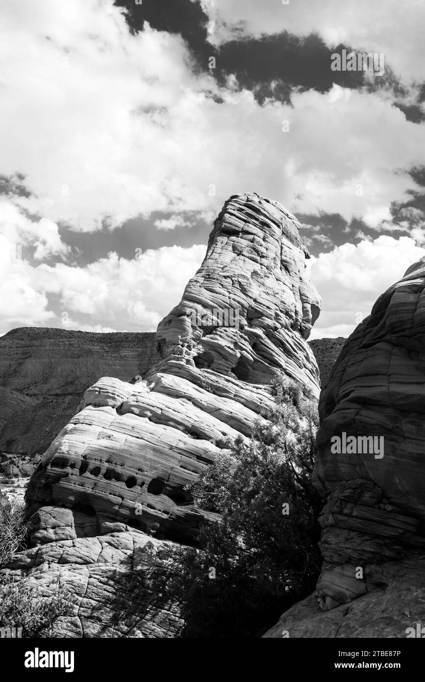 Photograph of the Yellow Rock area, a sandstone hill that's mostly ...