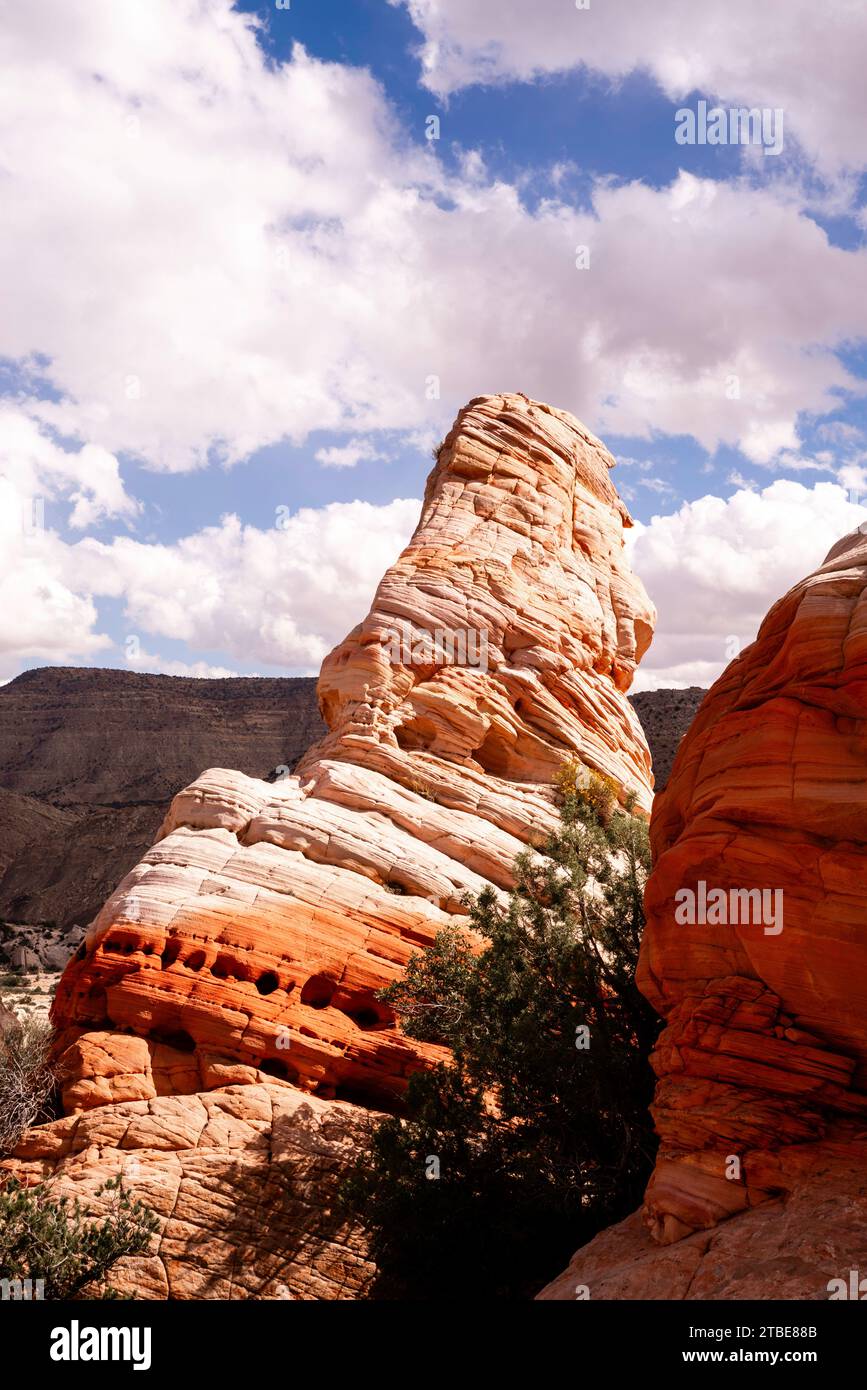 Photograph of the Yellow Rock area, a sandstone hill that's mostly ...