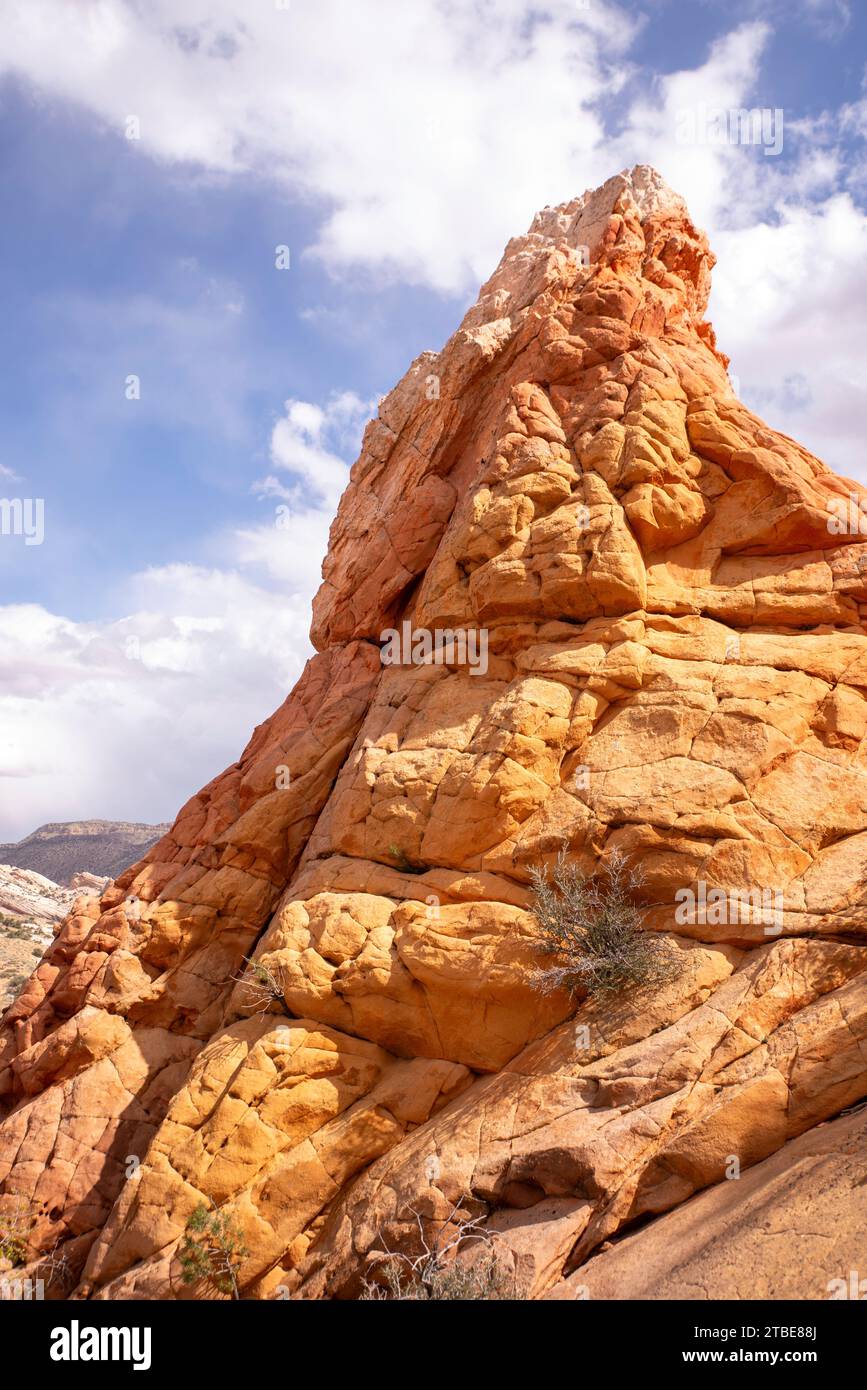 Photograph of the Yellow Rock area, a sandstone hill that's mostly ...