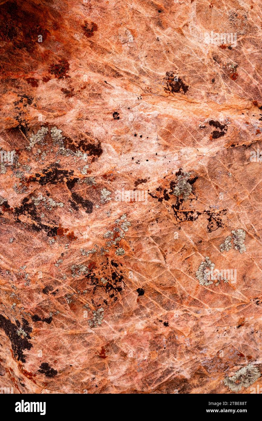 Photograph of the Yellow Rock area, a sandstone hill that's mostly ...