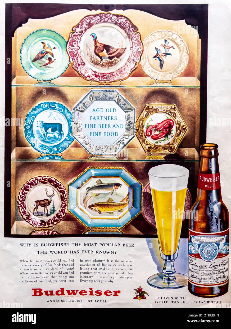1947 Budweiser beer ad Stock Photo - Alamy