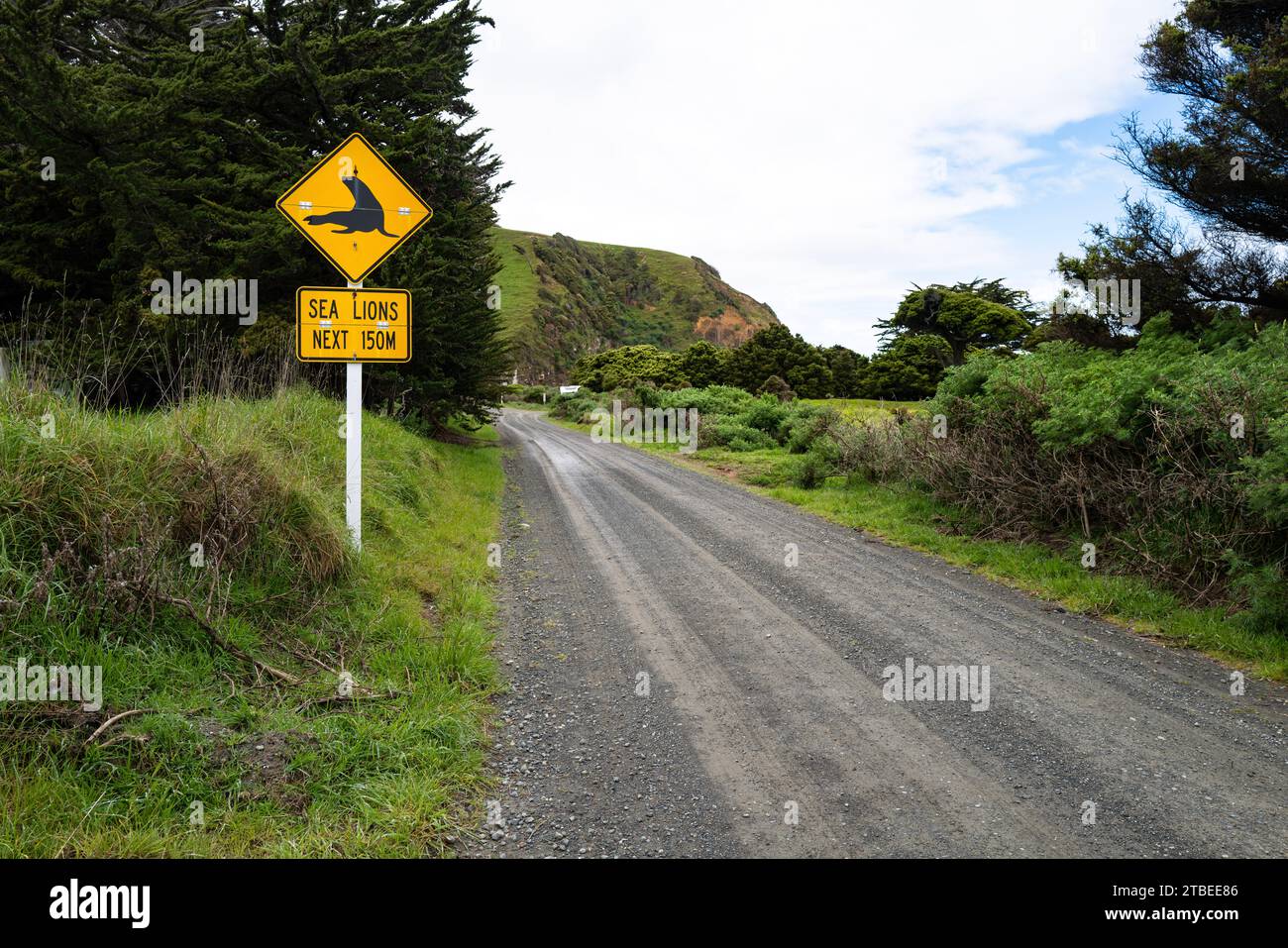 Road trip around the South Island of New Zealand. pictured at Another beautiful beach in the ...