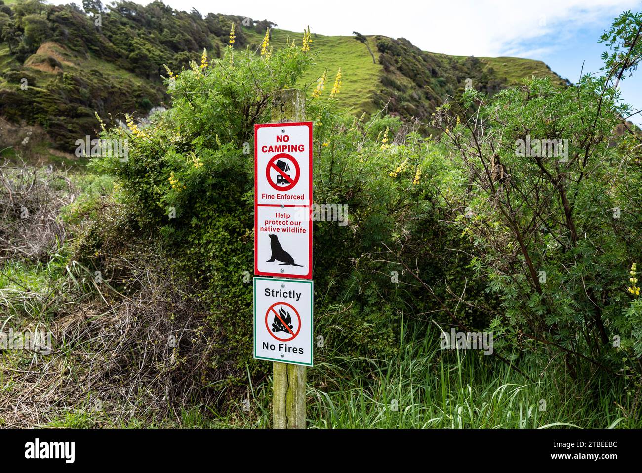 Road trip around the South Island of New Zealand. pictured at Another ...