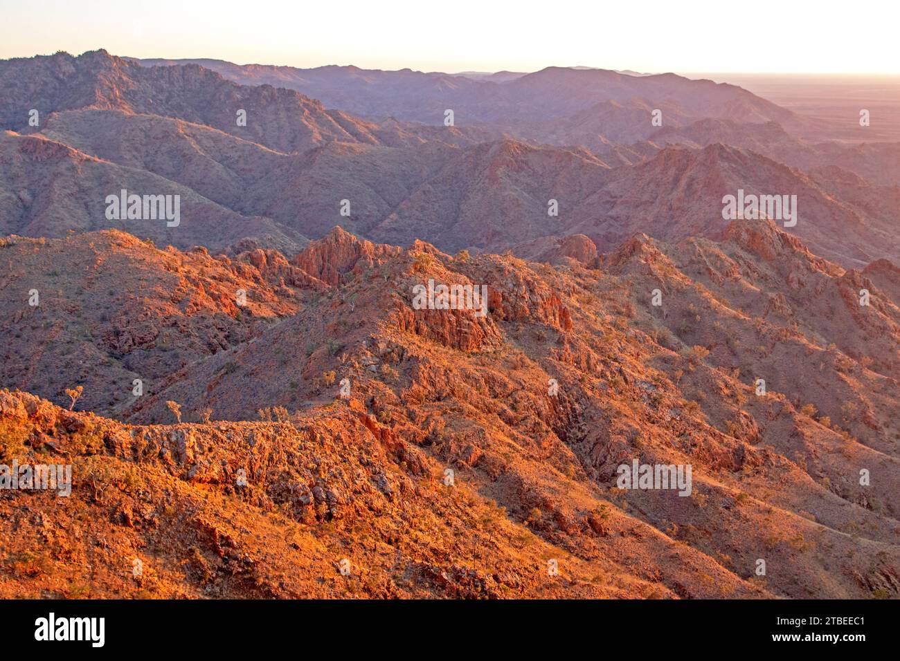The mountains of Arkaroola Wilderness Sanctuary at sunrise Stock Photo ...