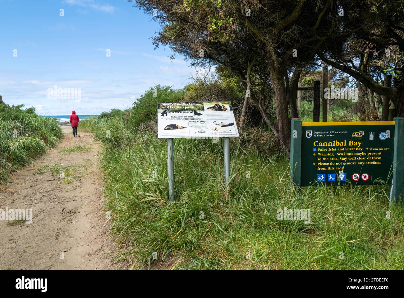 Road trip around the South Island of New Zealand. pictured at Another beautiful beach in the ...
