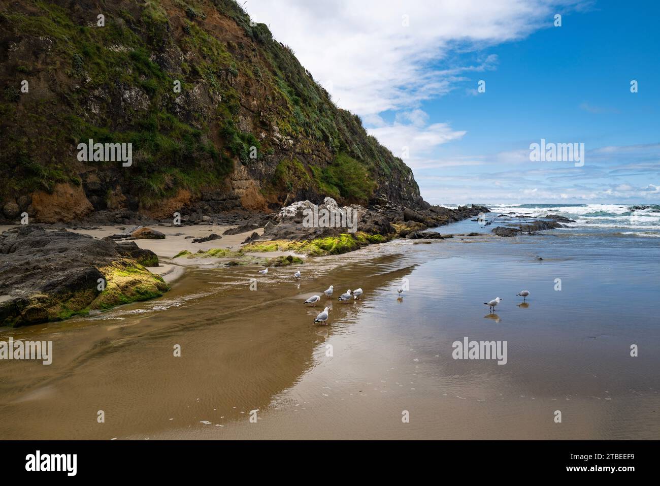 Road trip around the South Island of New Zealand. pictured at Another ...