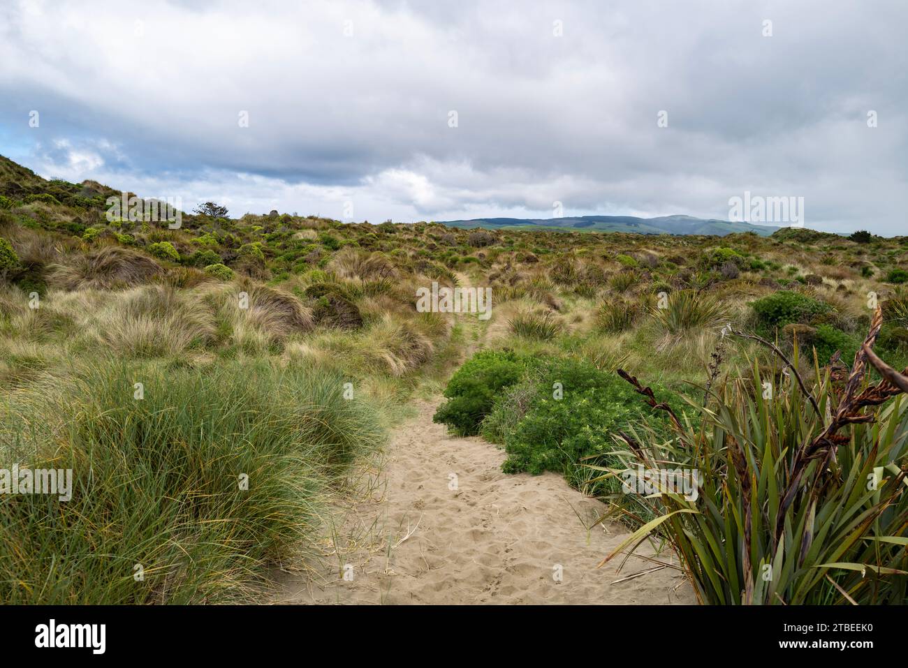 Road trip around the South Island of New Zealand. pictured at Another ...