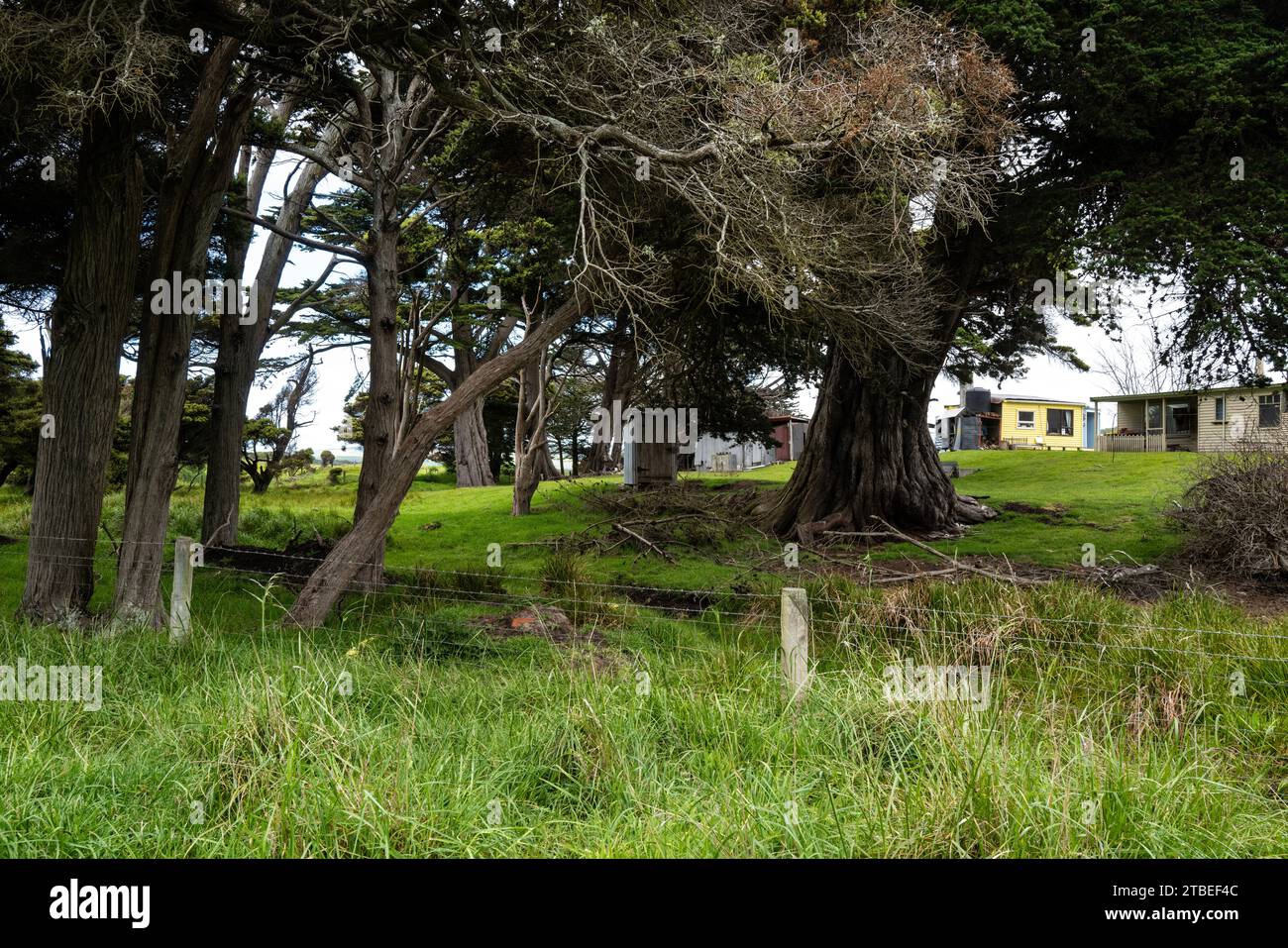 Road trip around the South Island of New Zealand. pictured at Another ...