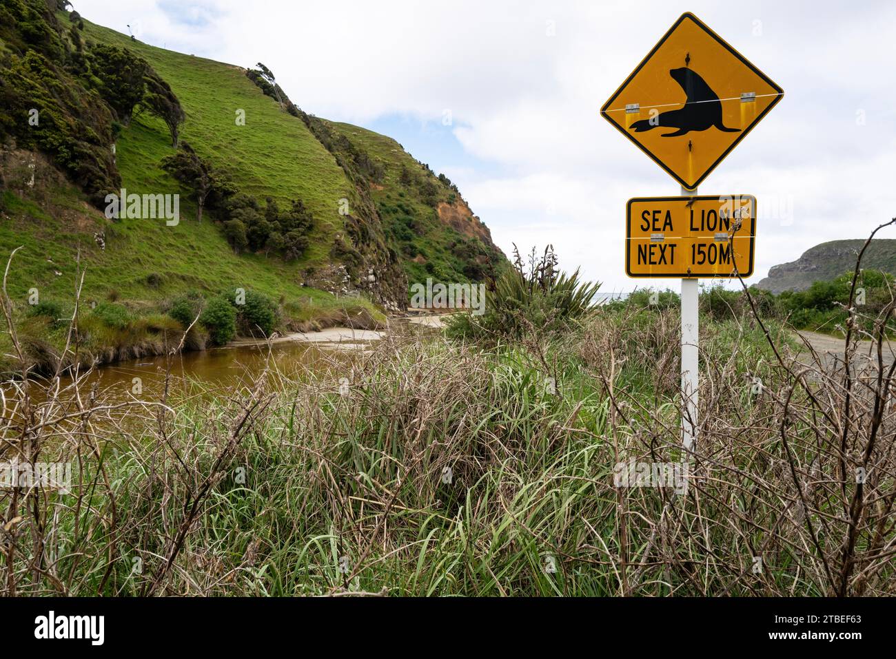 Road trip around the South Island of New Zealand. pictured at Another ...