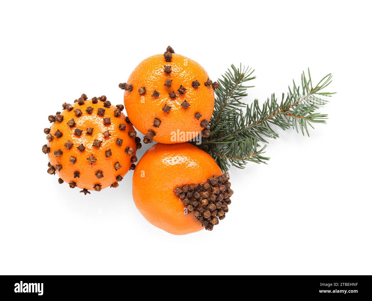 Pomander balls and Christmas tree branch on white background Stock ...