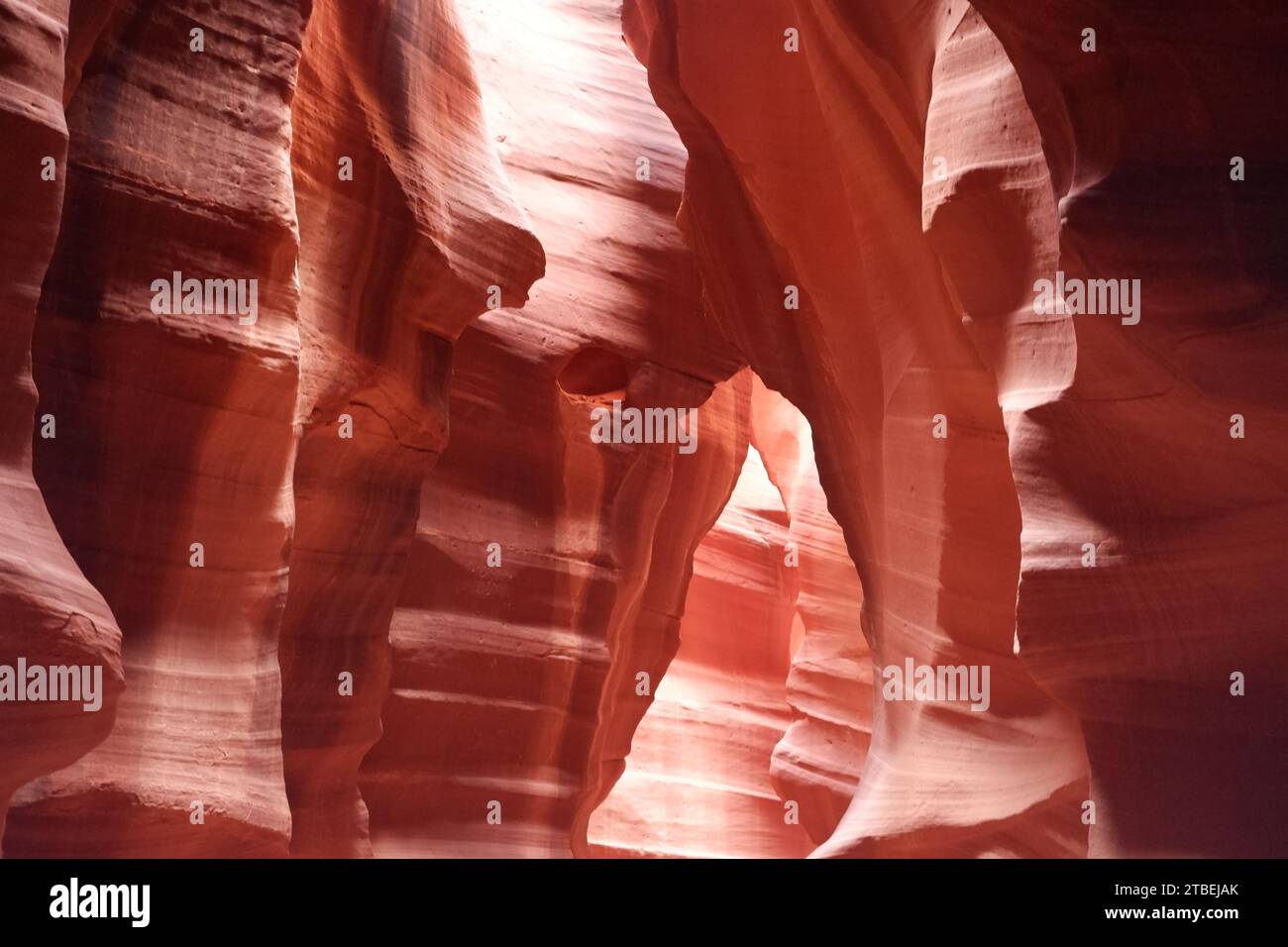 Photo of Navajo Upper Antelope Canyon within Lake Powell Navajo Tribal ...