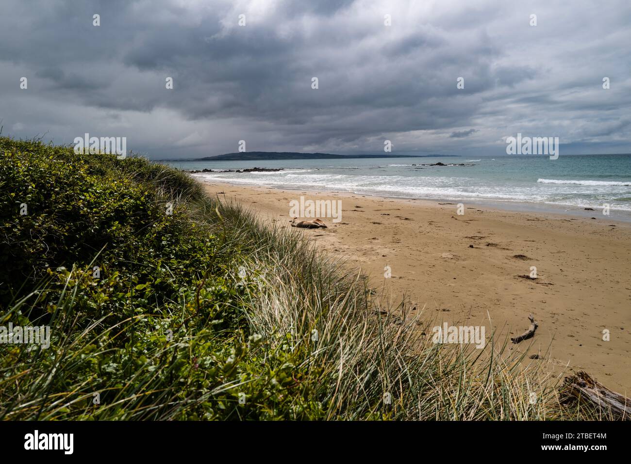 Road trip around the South Island of New Zealand. The headland of ...