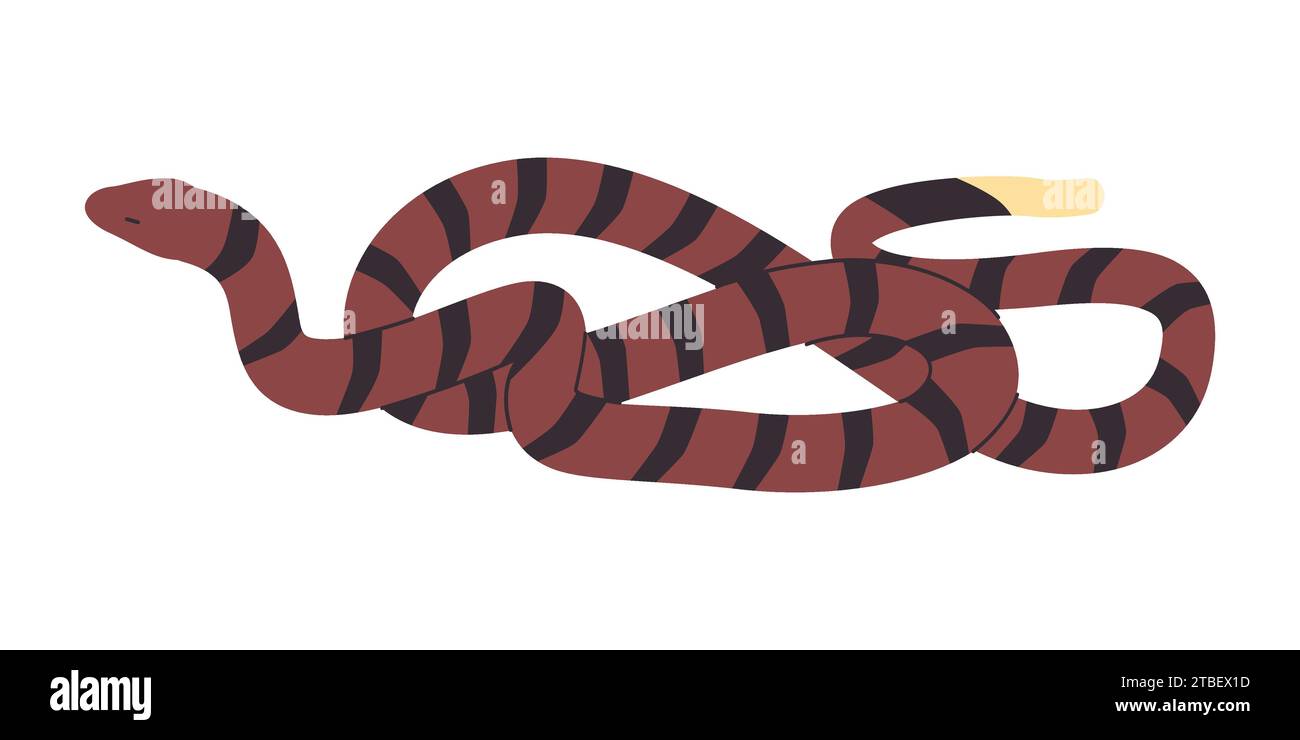 Snake mimicry Stock Vector Images - Alamy