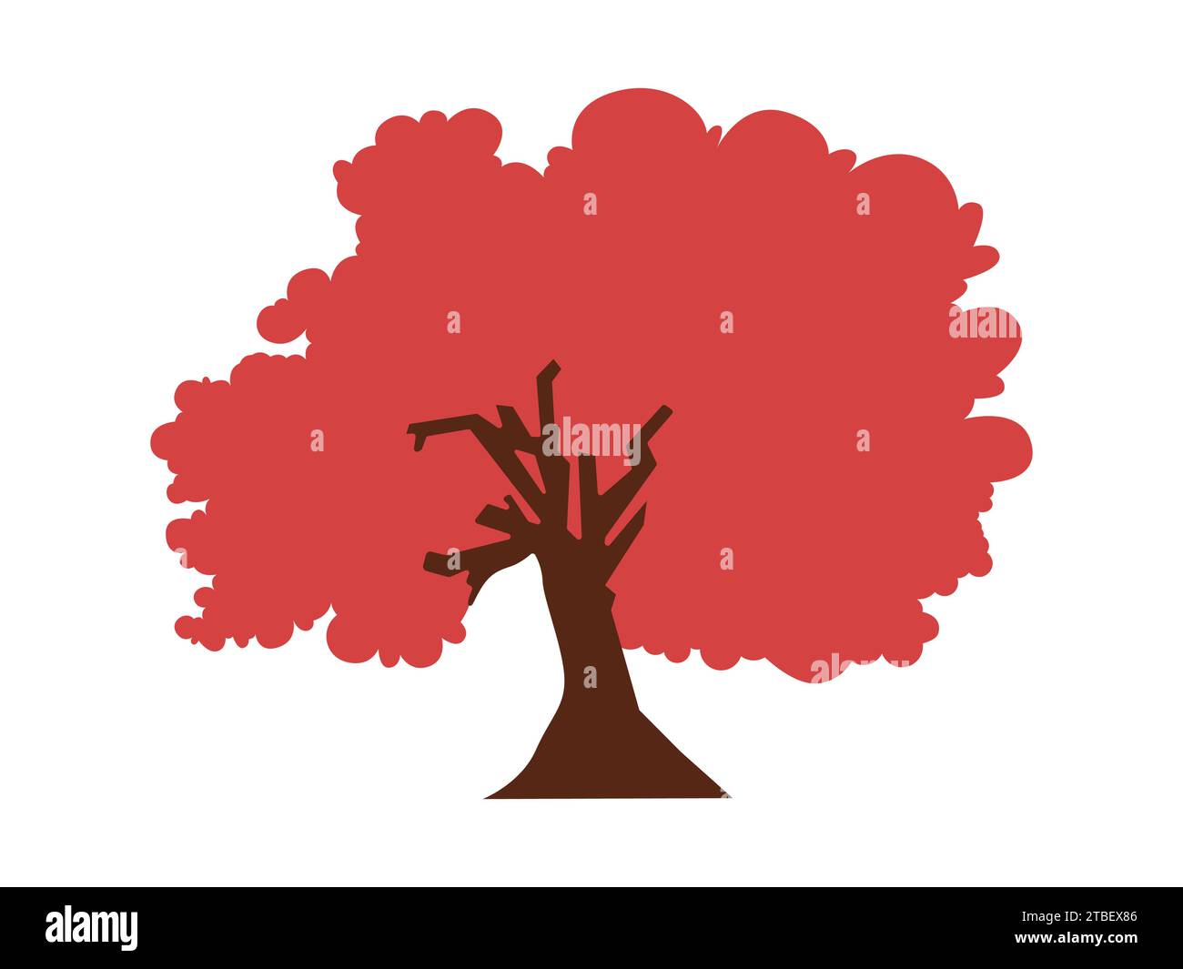 red maple tree foliage beautiful plant with big branch twig nature ...