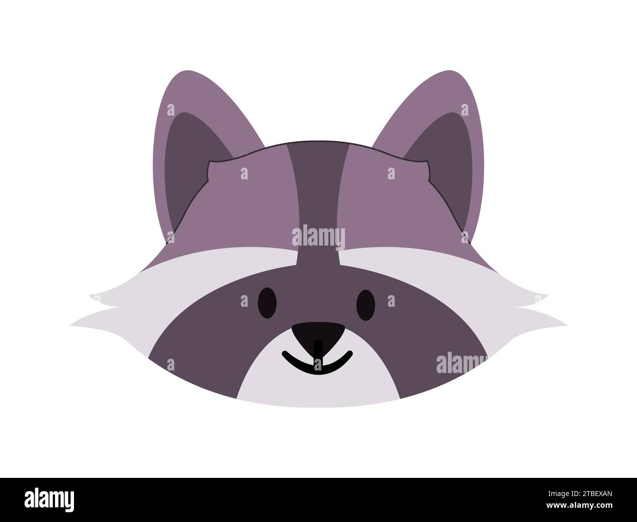 gray and white color raccoon head furry wild nature mammal omnivorous ...