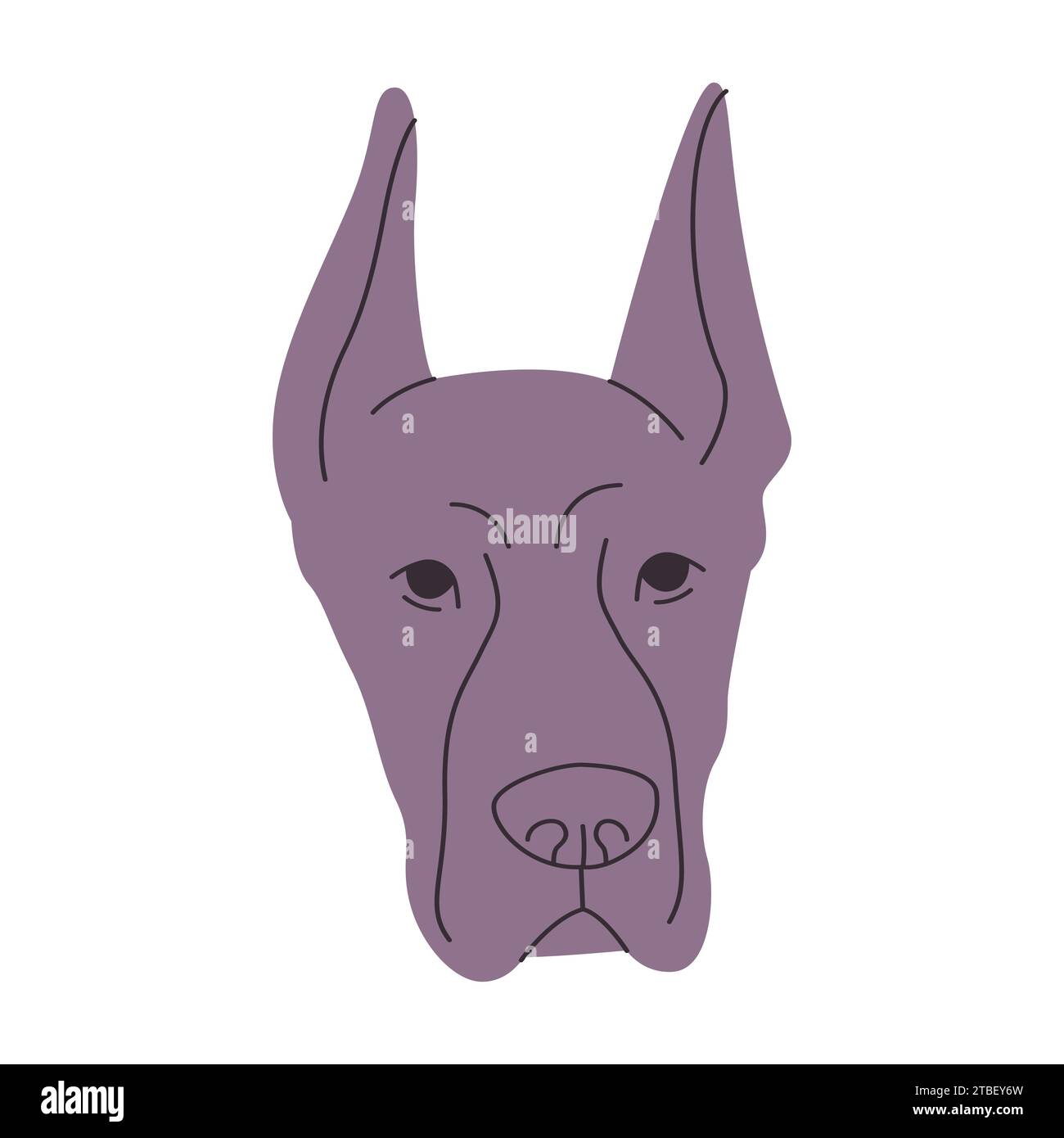 gray color head great dane hunting dog breed mammal domestic animal ...