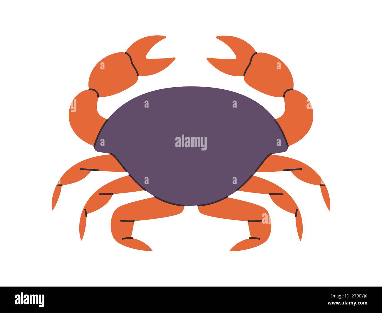 orange and gray color dungeness crab species of crab wild nature ocean ...