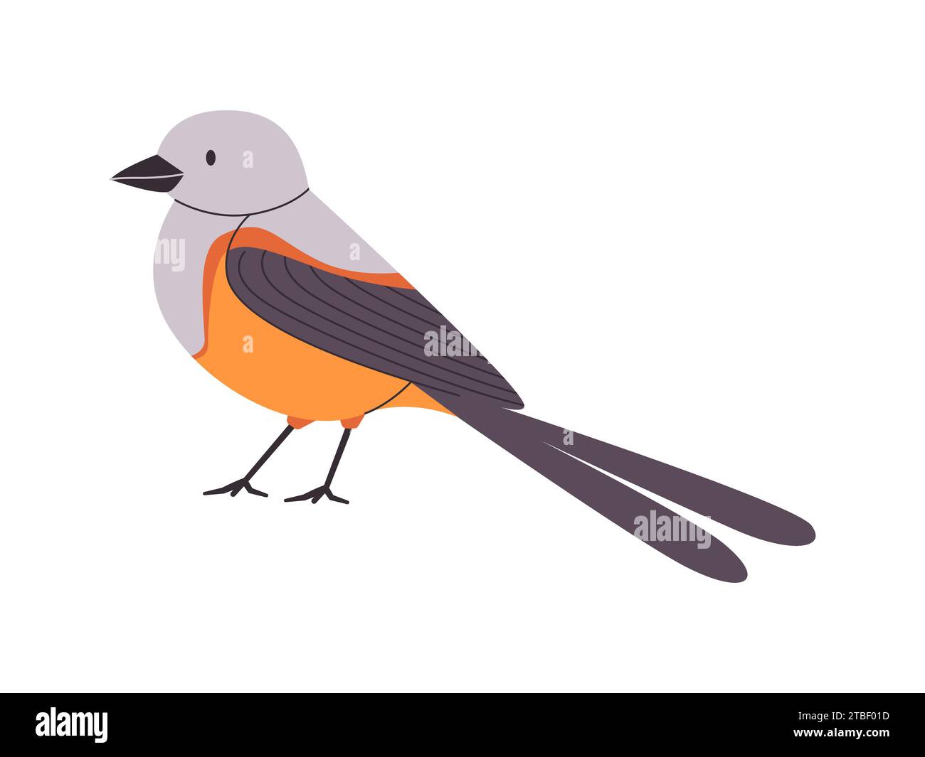 Tails fly Stock Vector Images - Alamy