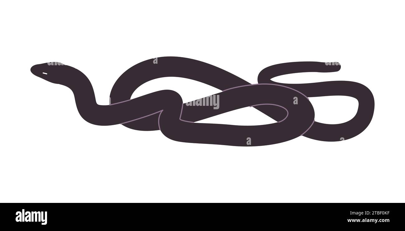 black color long snake wild nature reptile crawling animal dangerous ...