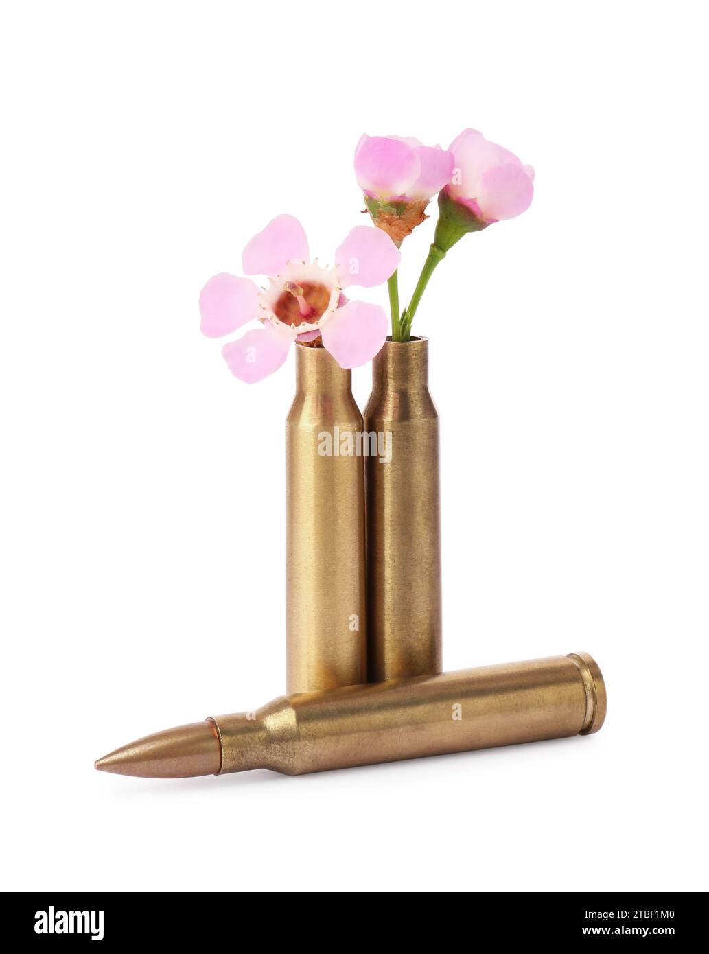 Bullet and cartridge cases with beautiful flowers isolated on white ...