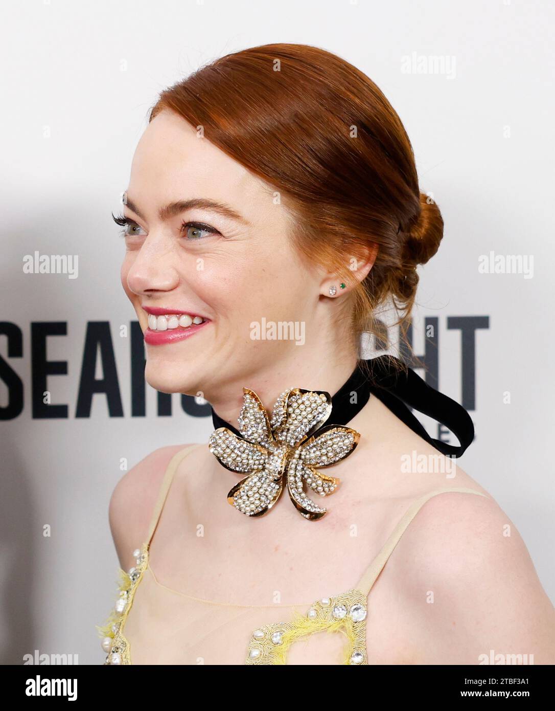 Poor things emma stone hi-res stock photography and images - Alamy