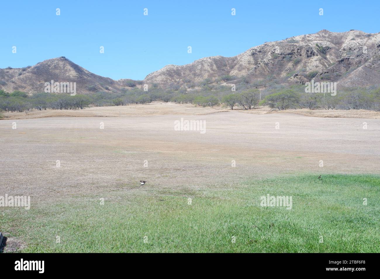 Photo of Diamond Head in Diamond Head State Monument located in ...