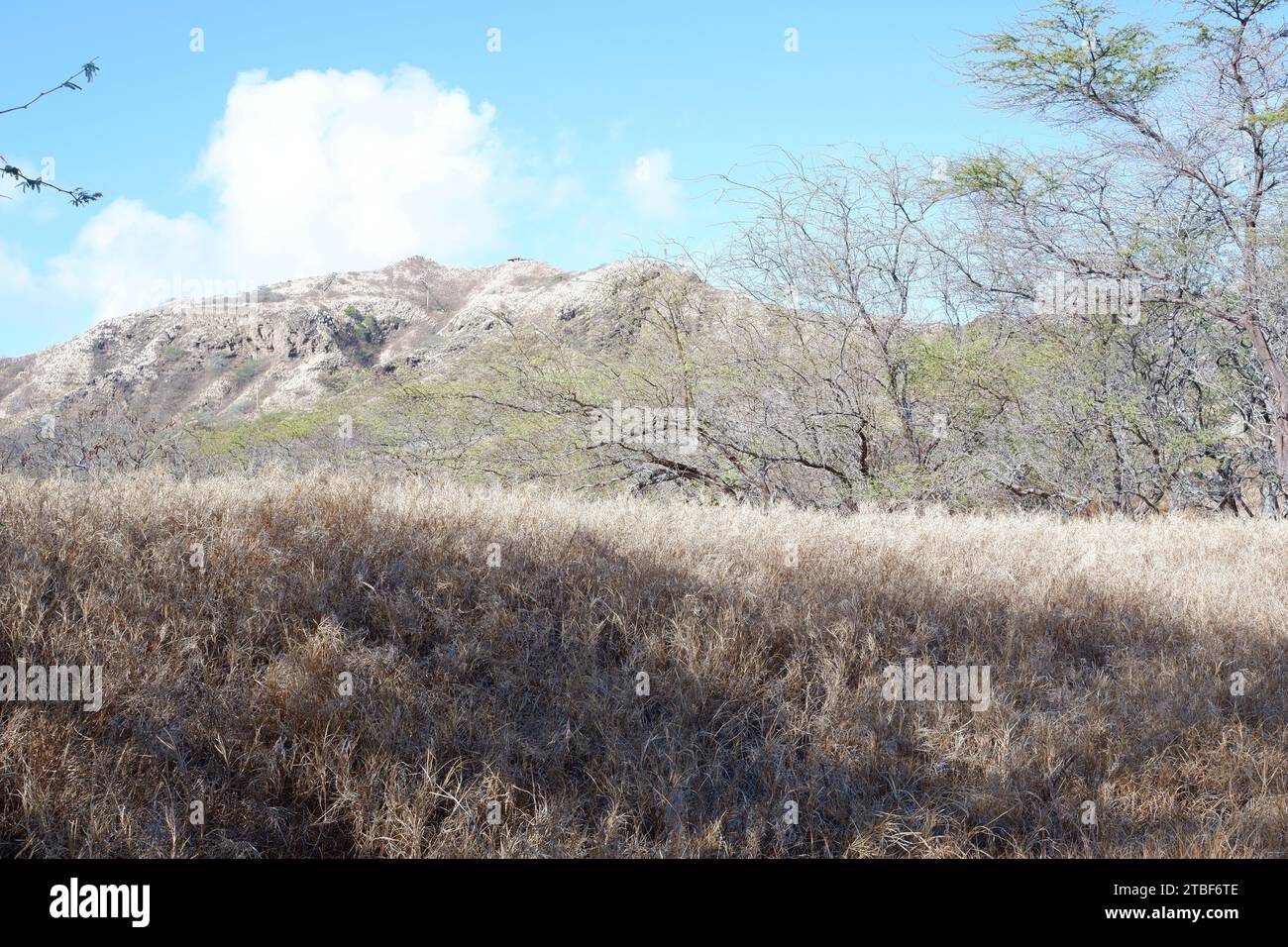 Photo of Diamond Head in Diamond Head State Monument located in ...