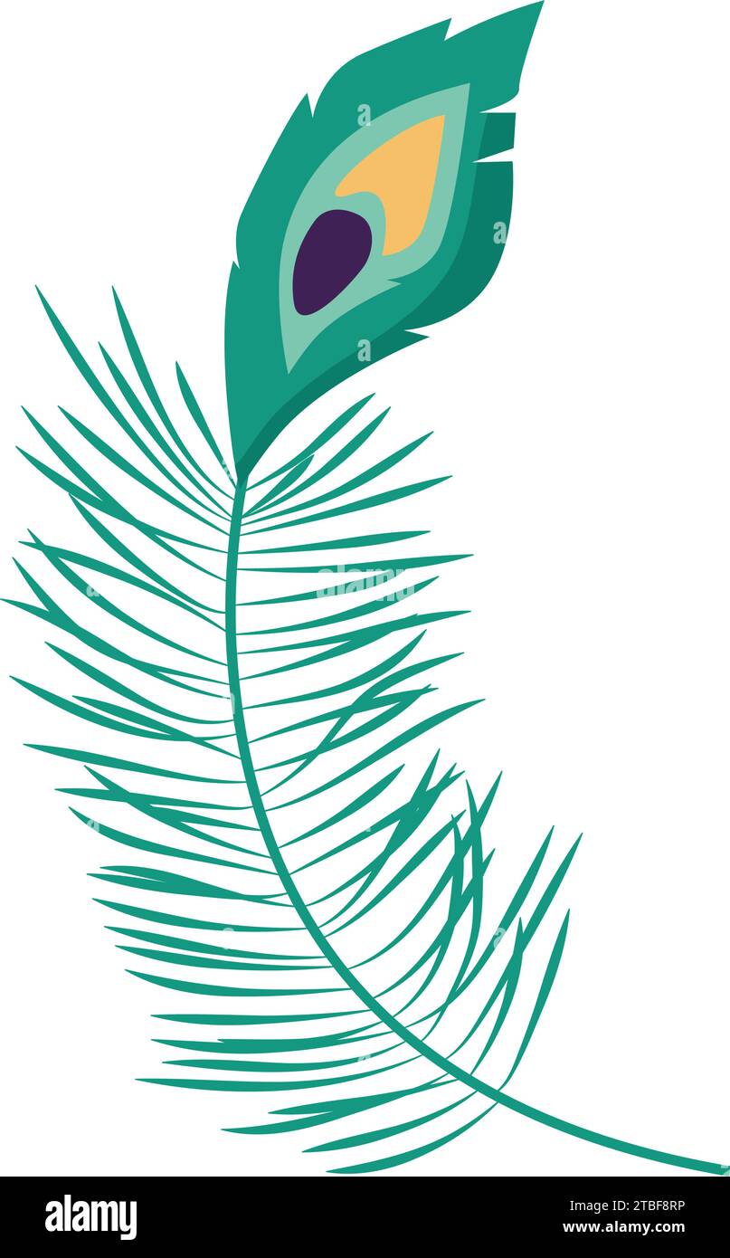 Peacock Feather Illustration Vector Isolated Stock Vector Image And Art