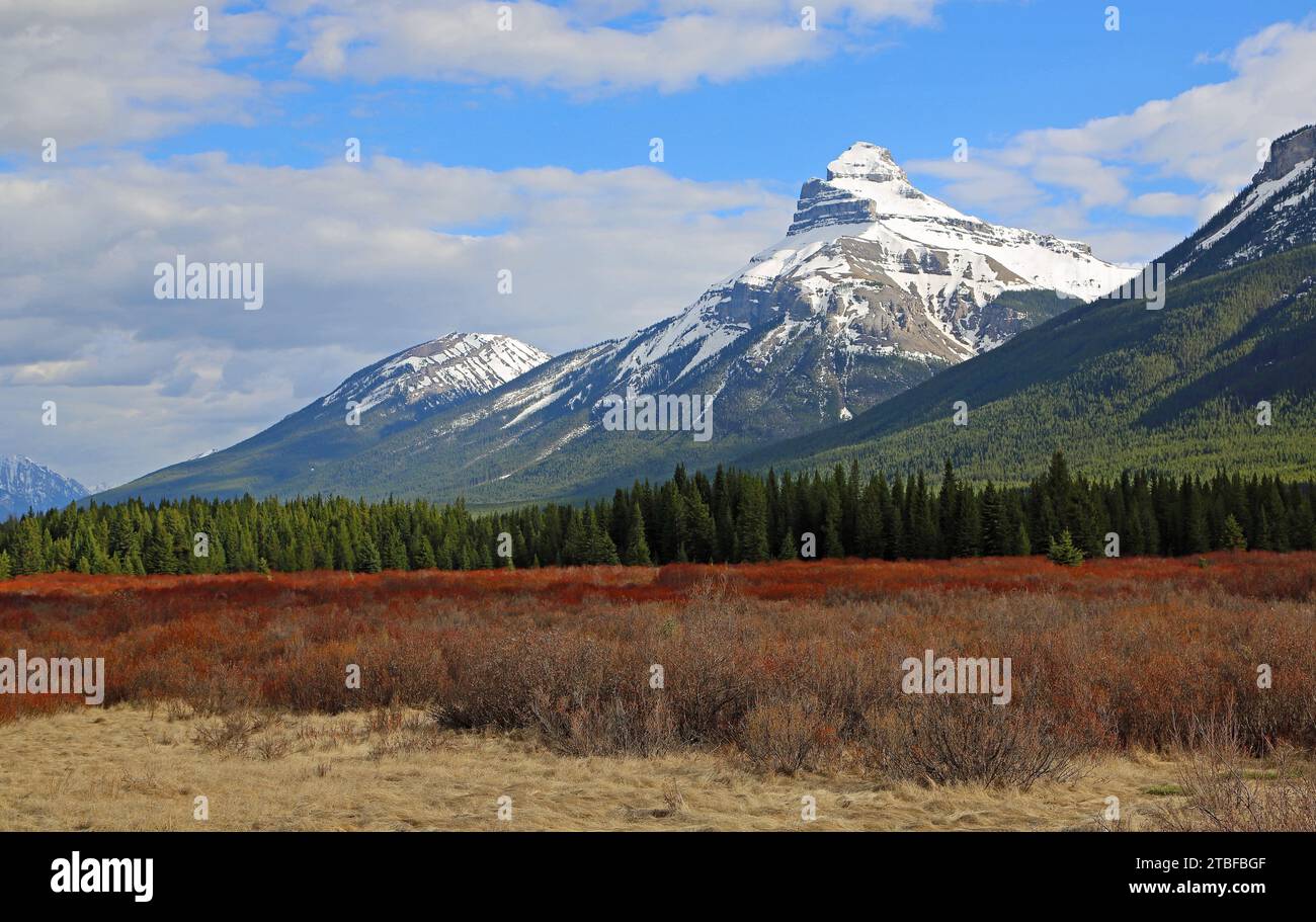 Moose meadows and pilot mountain hi-res stock photography and images ...