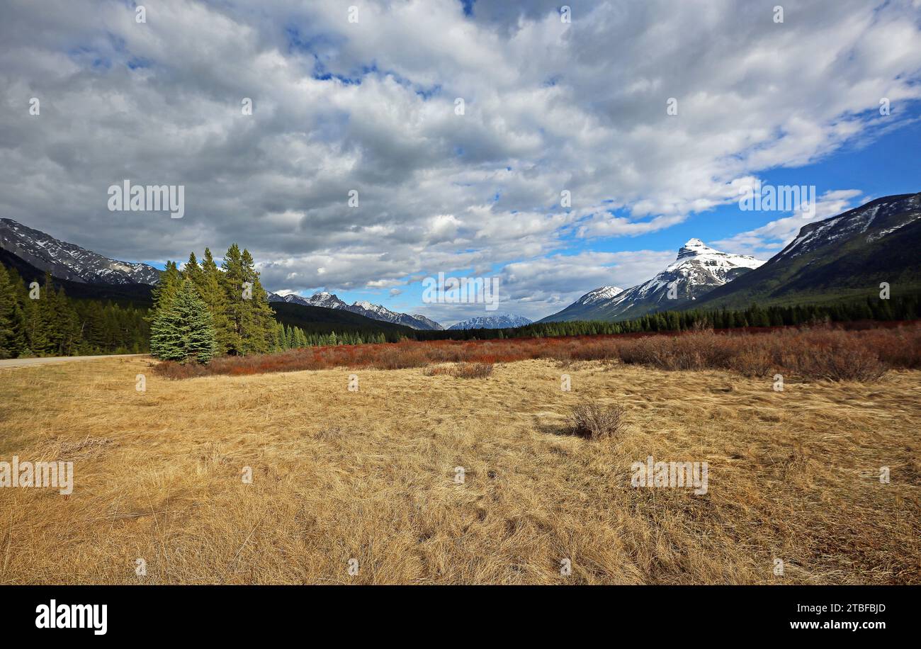 Landscape on Mosse Meadows - Pilot Mountain, Canada Stock Photo - Alamy
