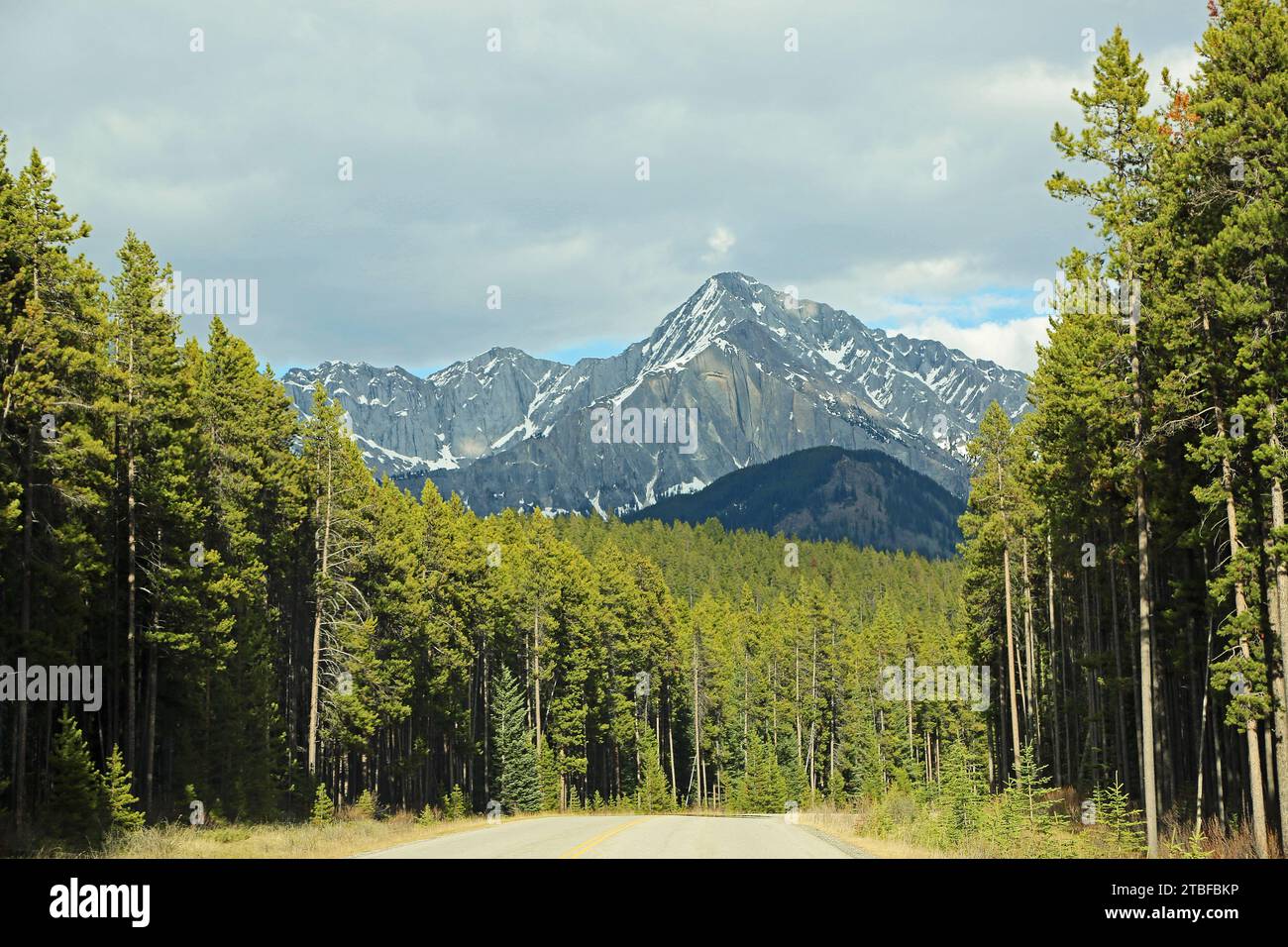 Bow Valley parkway - Canada Stock Photo - Alamy