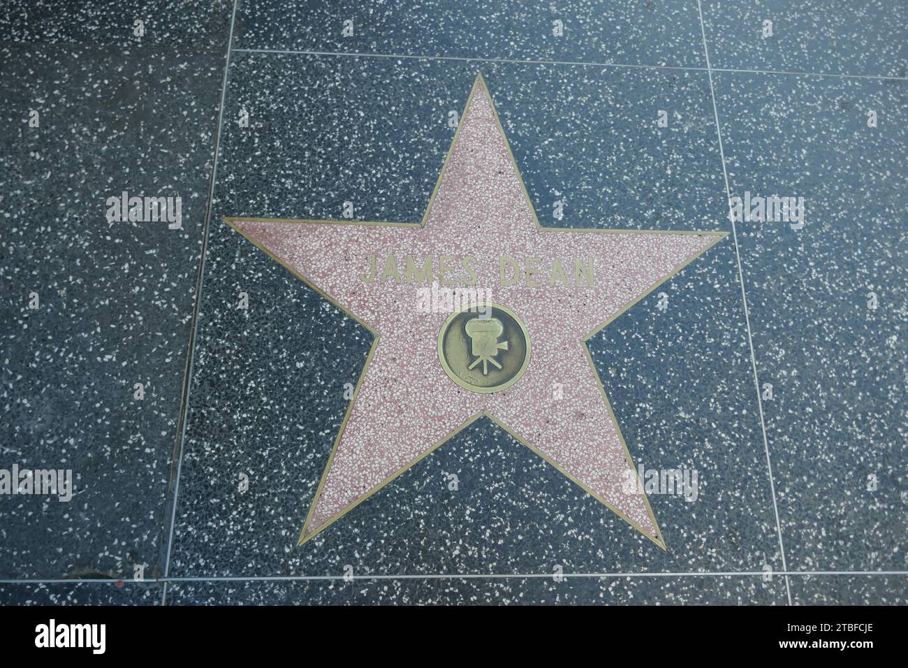 Hollywood, California, USA 5th December 2023 A general view of ...