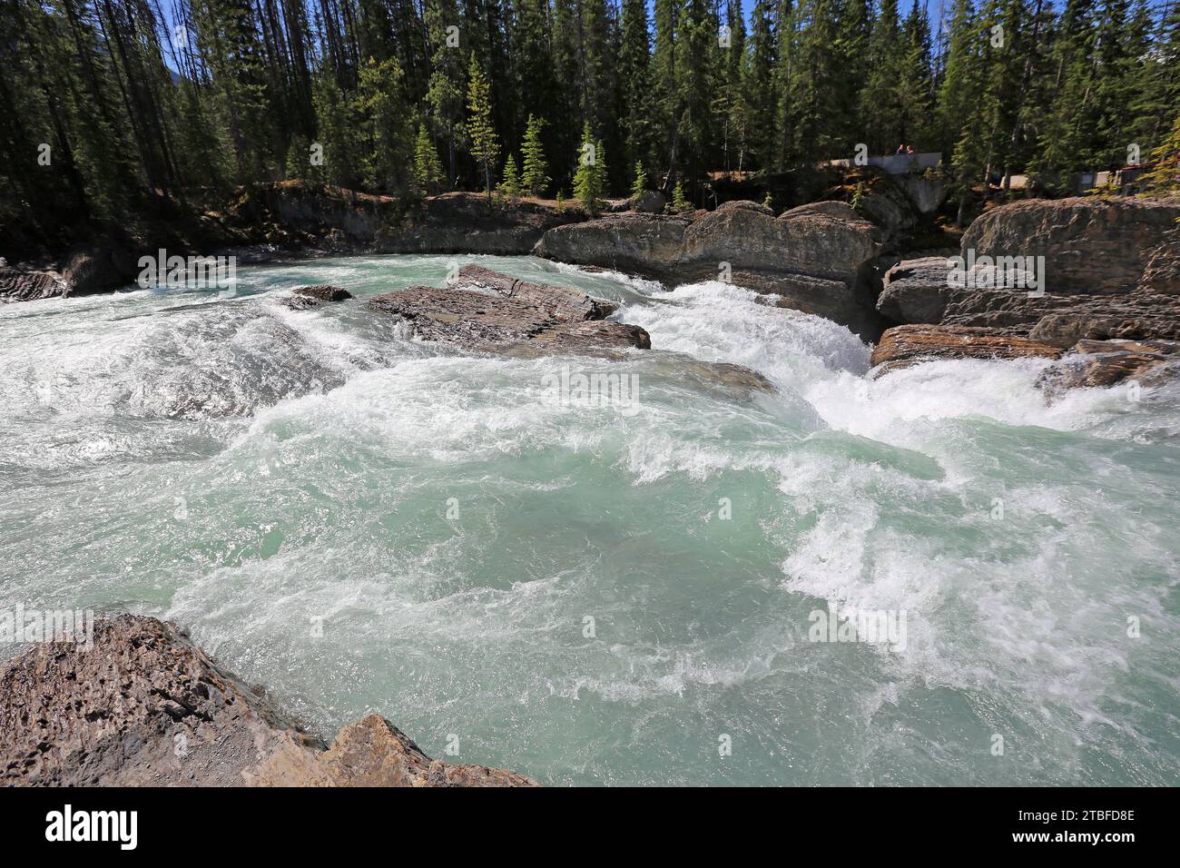 Pounding water kicking horse hi-res stock photography and images - Alamy