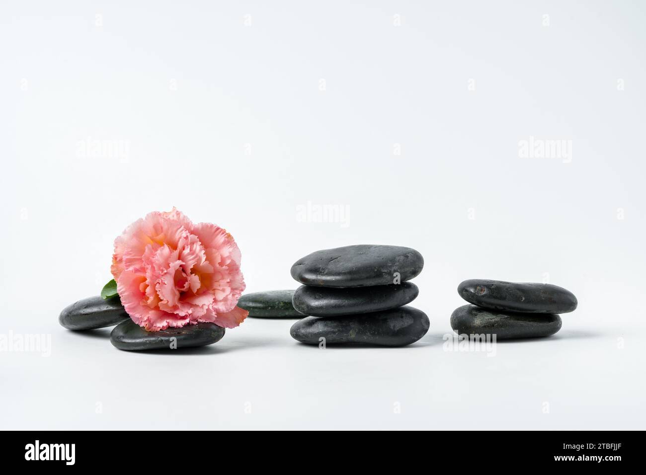 Spa stones and flowers on the white background Stock Photo - Alamy